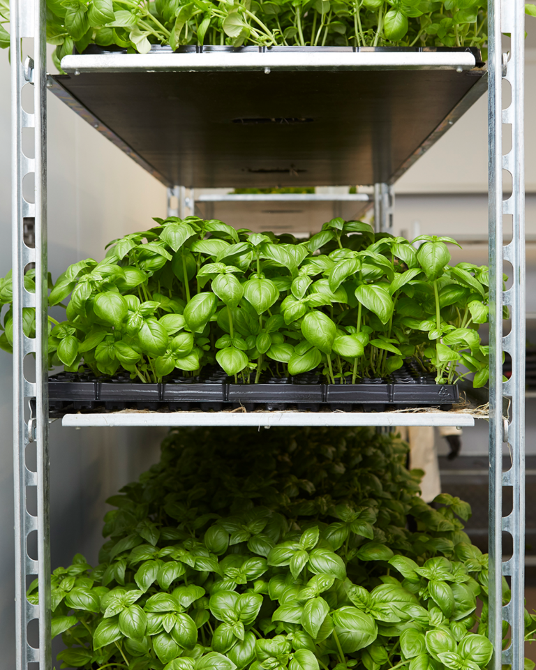 Homepage - Corner Corner